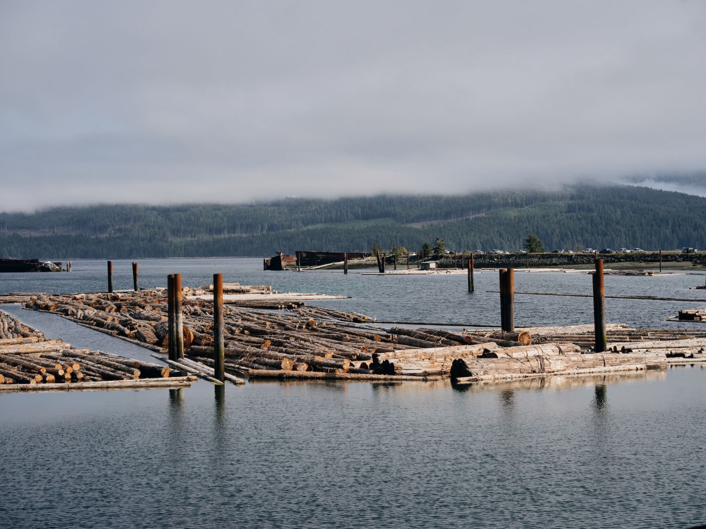 What does First Nations ownership mean for B.C. forestry? | The Narwhal
