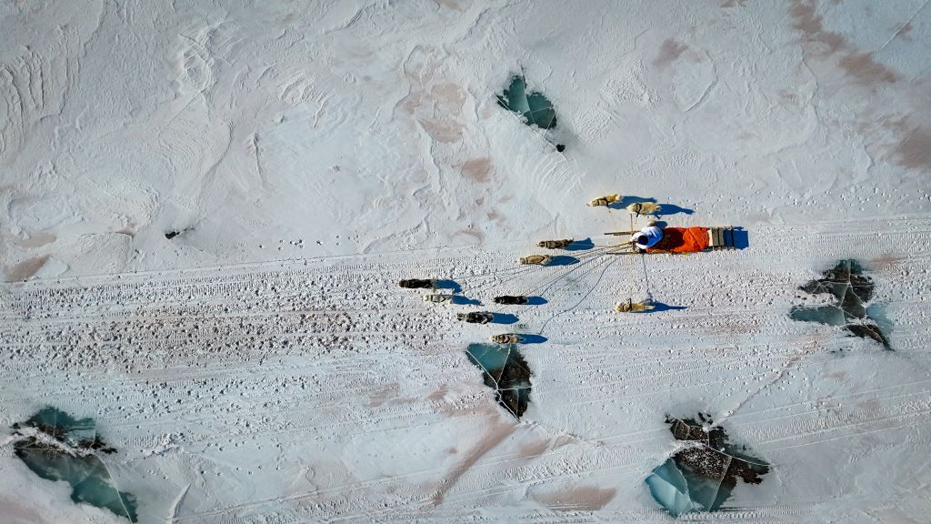 $270-million SINAA agreement funds Nunavut conservation | The Narwhal