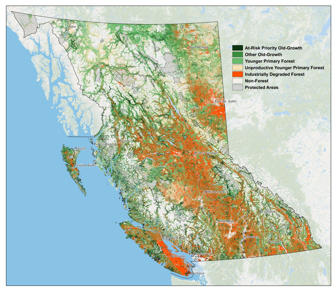 How logging has sent B.C. forests into freefall | The Narwhal