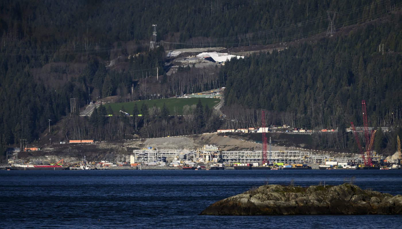 The future of Roberts Bank Terminal 2, explained | The Narwhal