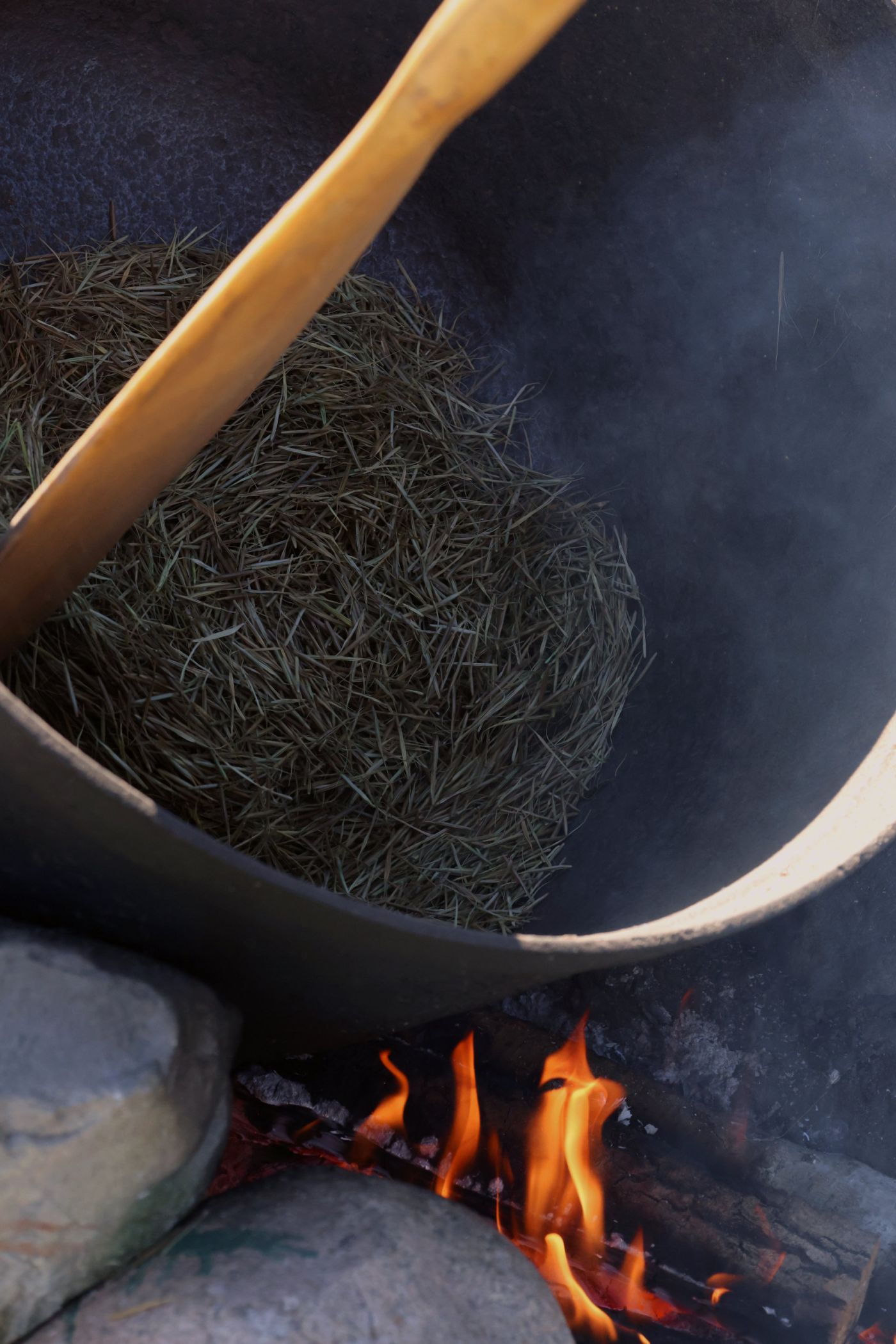 A First Nation’s prairie grows in Ontario, then burns | The Narwhal