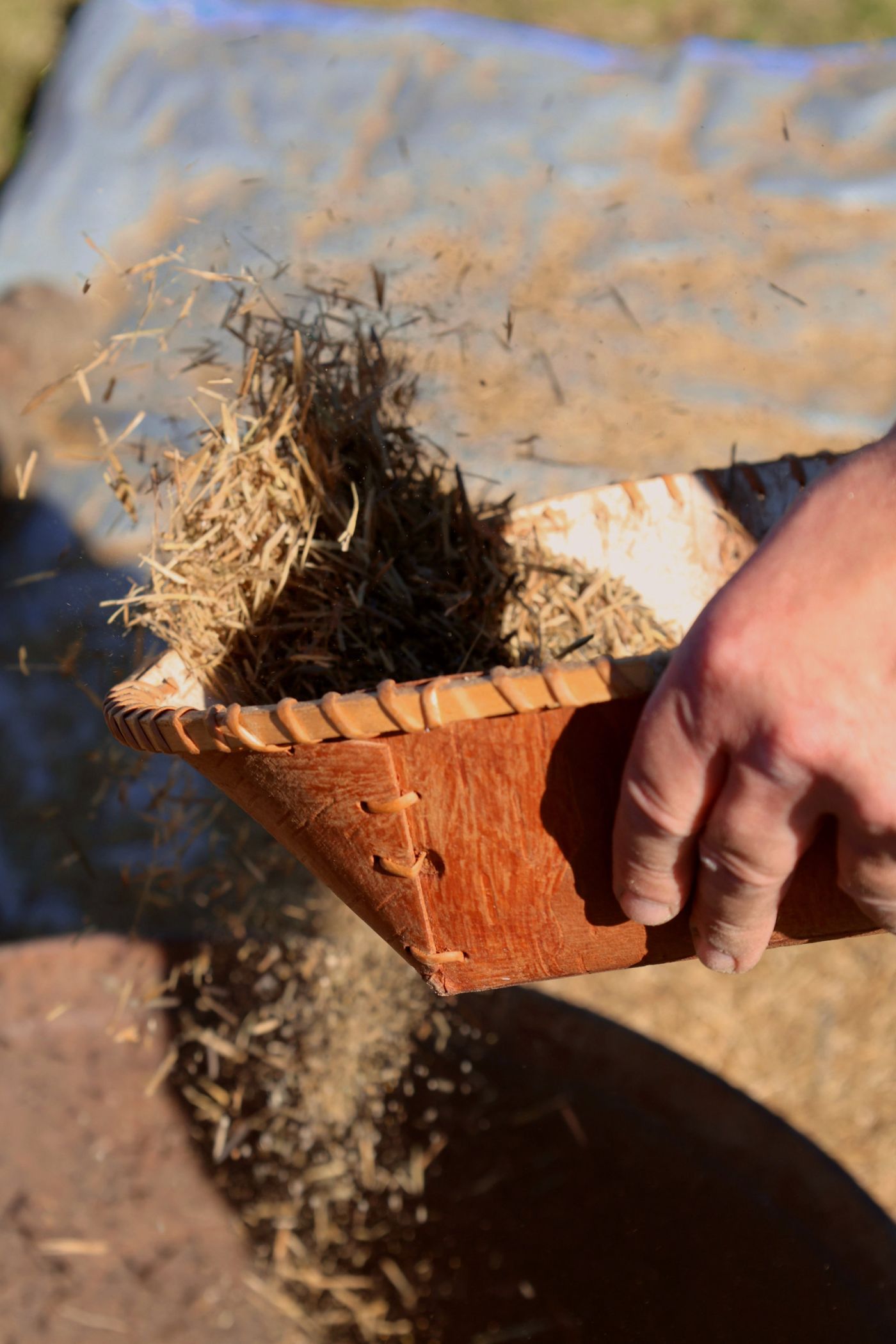 A First Nation’s prairie grows in Ontario, then burns | The Narwhal