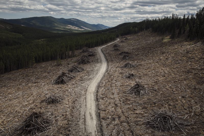 What’s happening with Alberta’s coal mining, explained | The Narwhal