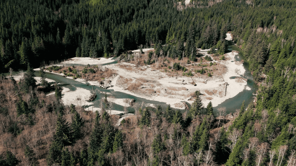 Gold mining near Tofino? Inside Imperial Metals' controversial ...